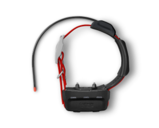 Buy Garmin Dog Collar California | Garmin GPS Dog Collar Online Texas ...
